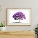 Jacaranda Tree Sketches - Set of 5 Colorful Renditions, High-resolution ...