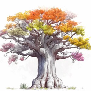 Baobab Tree Colored Sketch Digital Art Drawing PNG, JPG, SVG 300dpi 4:3 ...