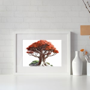 Dragon's Blood Tree Colored Sketch Digital Art Drawing PNG, JPG, SVG ...