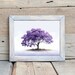 Jacaranda Tree Sketches - Set of 5 Colorful Renditions, High-resolution ...