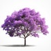 Jacaranda Tree Sketches - Set of 5 Colorful Renditions, High-resolution ...
