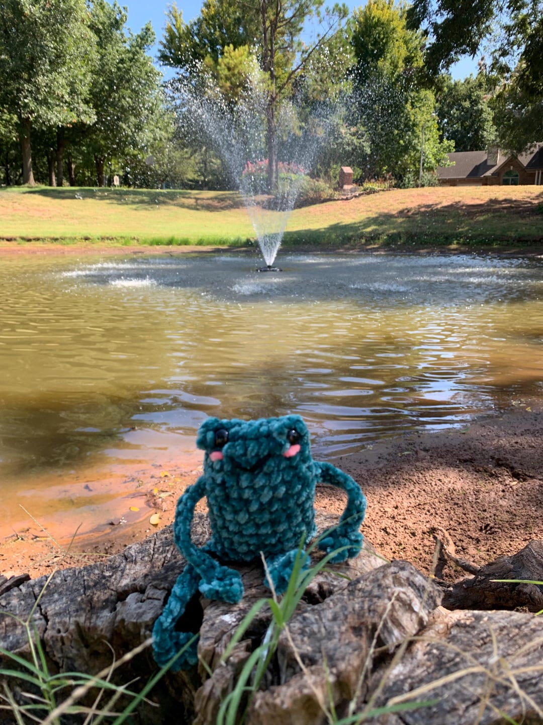 Flipper the Leggy Frog Digital Pattern - Etsy