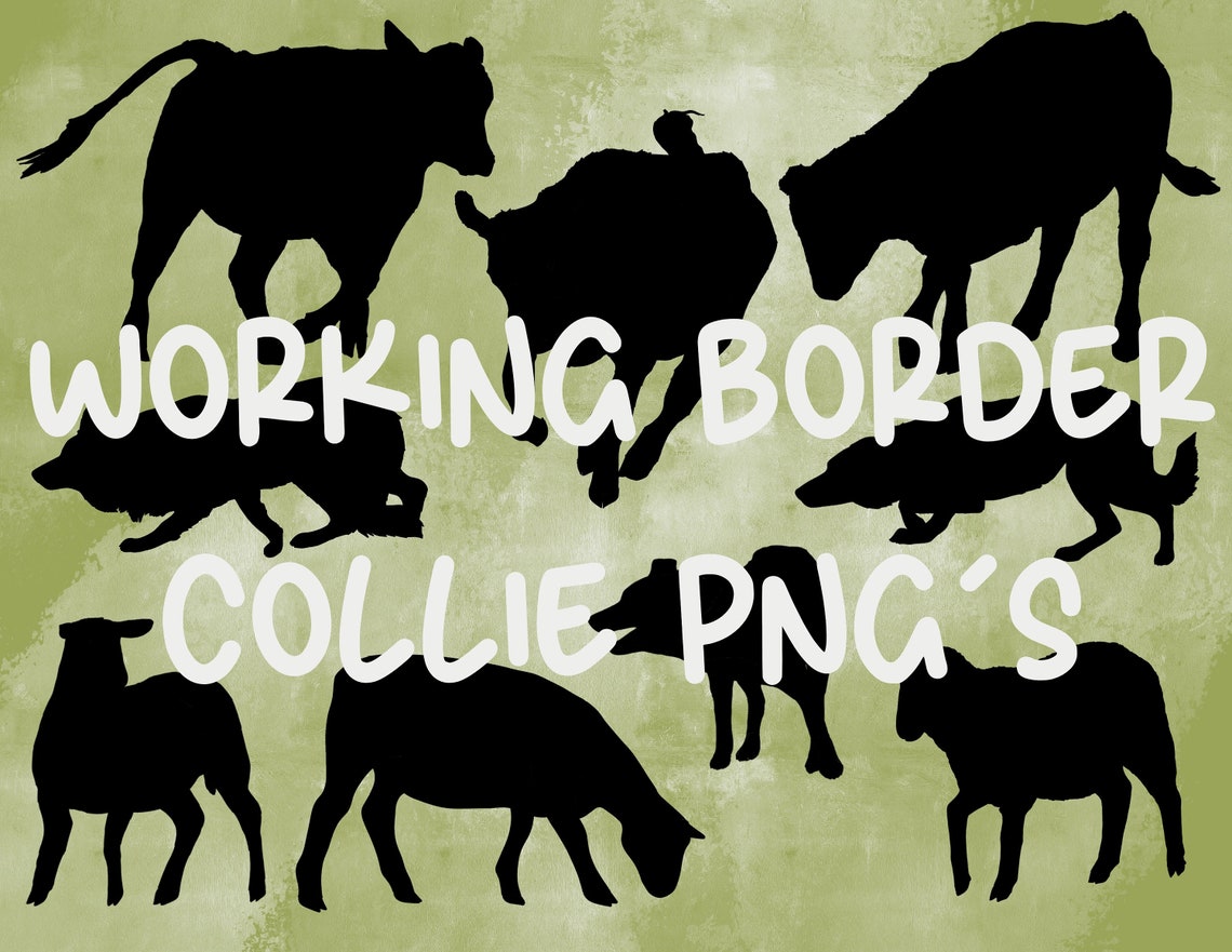 Working Border Collie .PNG & .SVG Files - Etsy