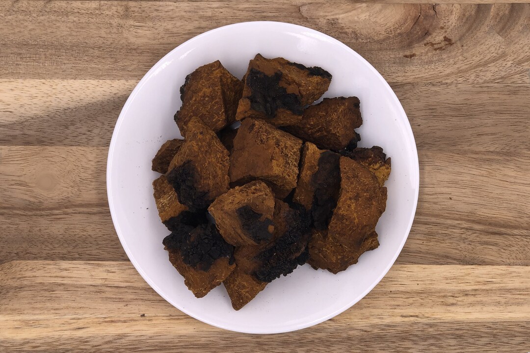Chaga Mushroom Chunks, Wild Canadian Chaga, Chaga Forage, 100g, 3.52oz ...