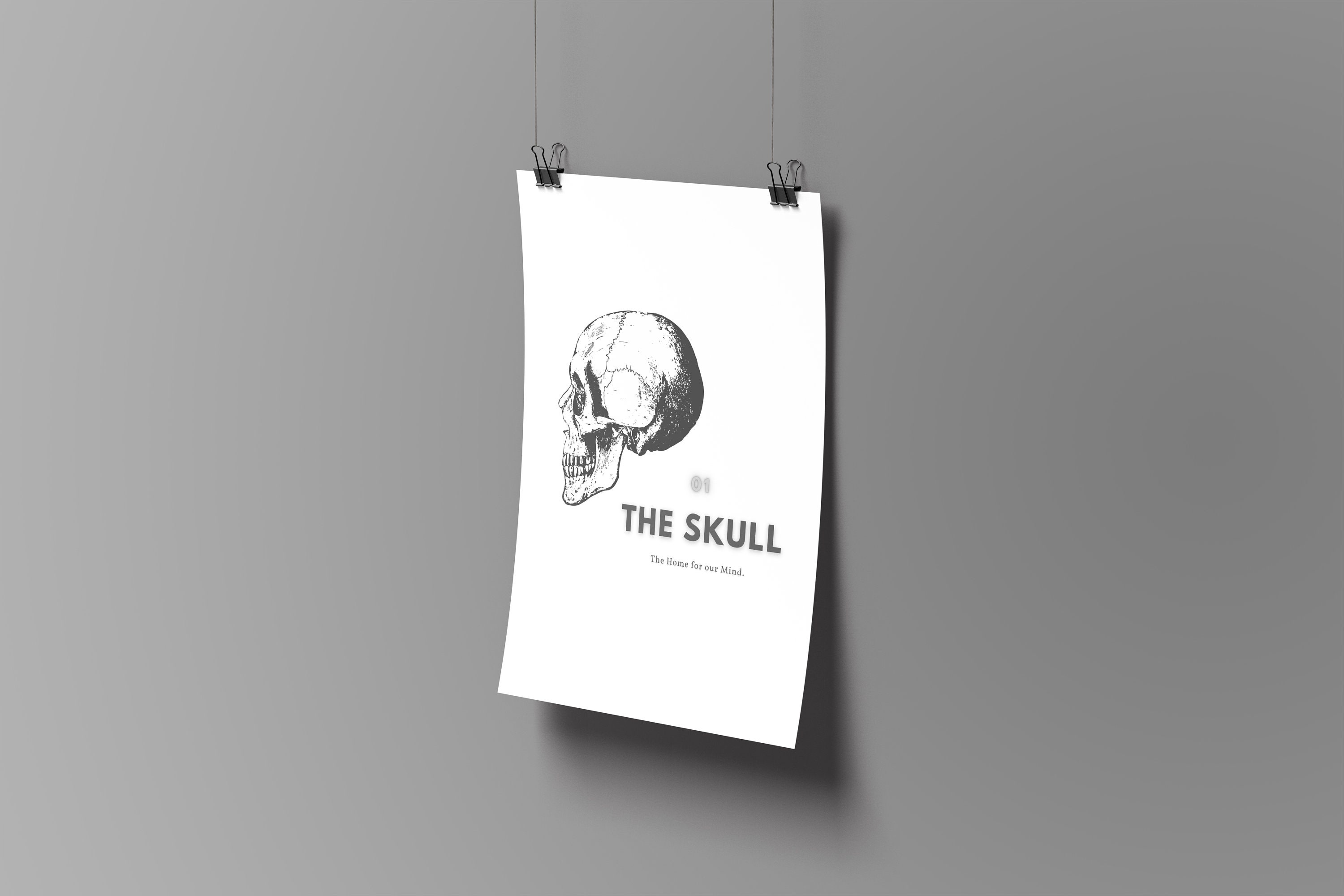 The Skull Poster - Etsy