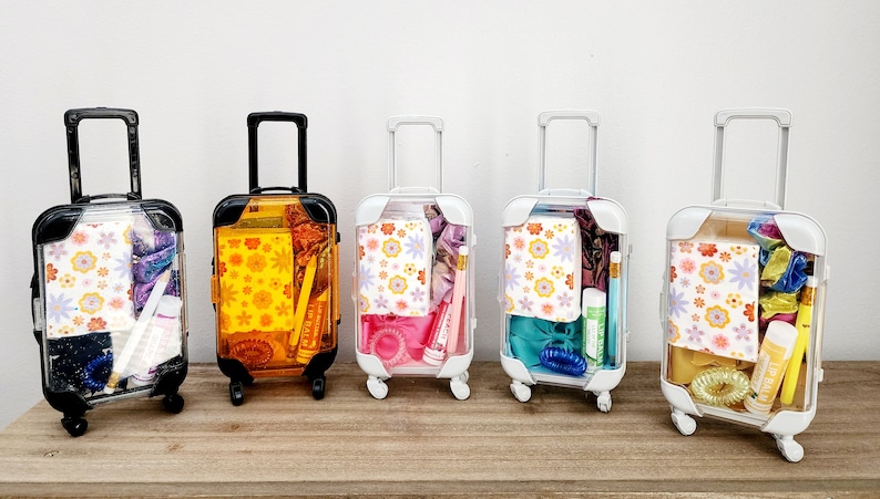 Girls Mini Luggage Gift Set: Party Favors, School Backpack Necessity Birthday Gift Travel Sets ...