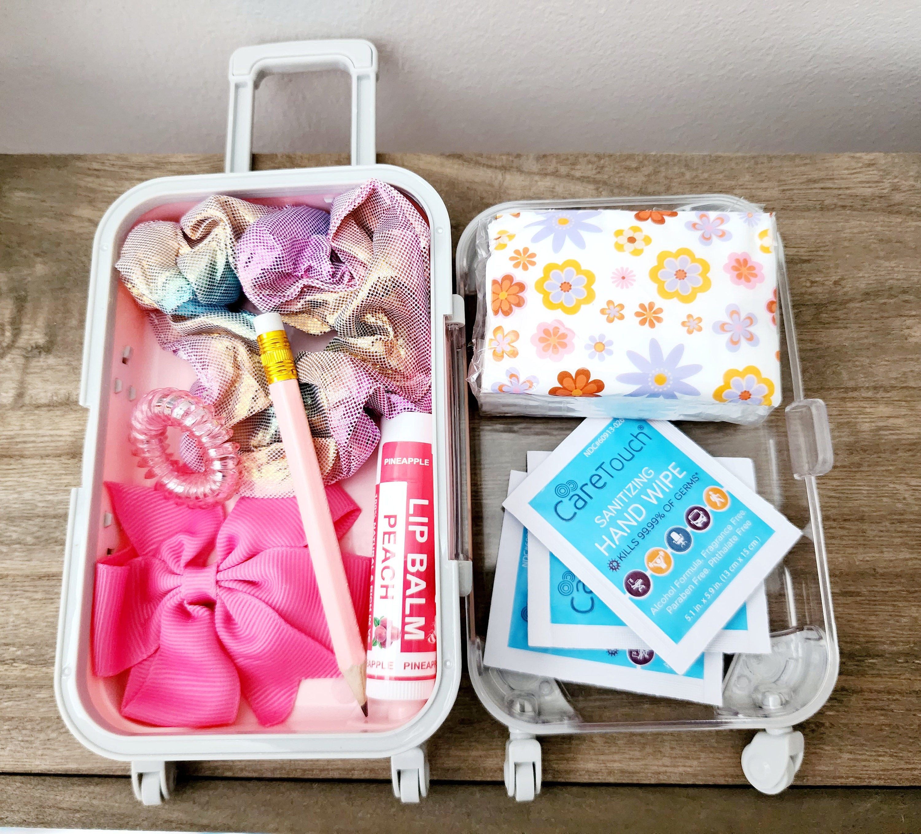 Girls Mini Luggage Gift Set: Party Favors, School Backpack Necessity ...