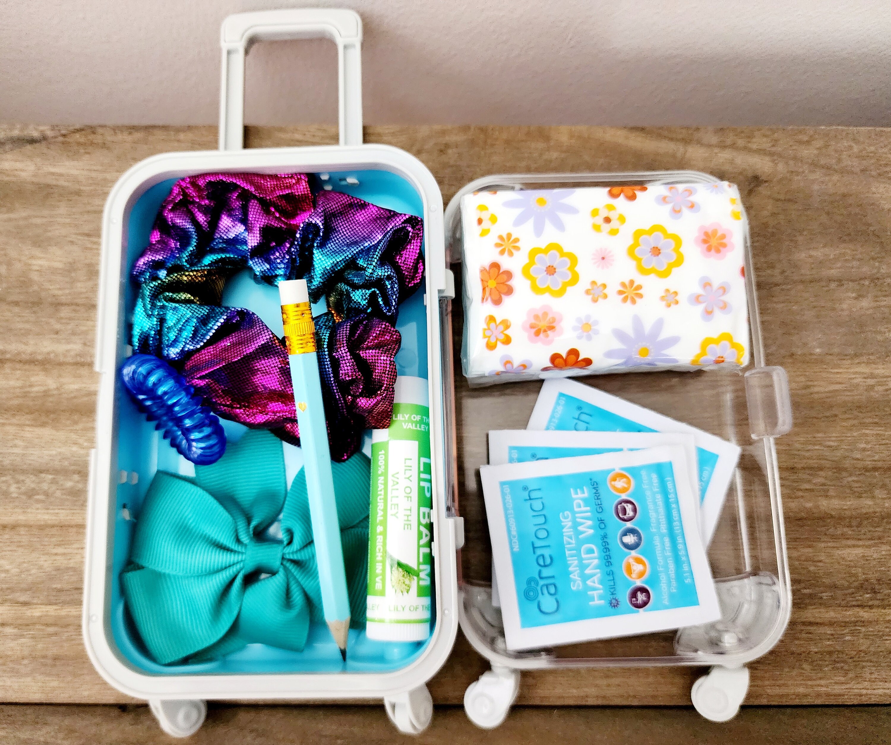 Girls Mini Luggage Gift Set: Party Favors, School Backpack Necessity ...