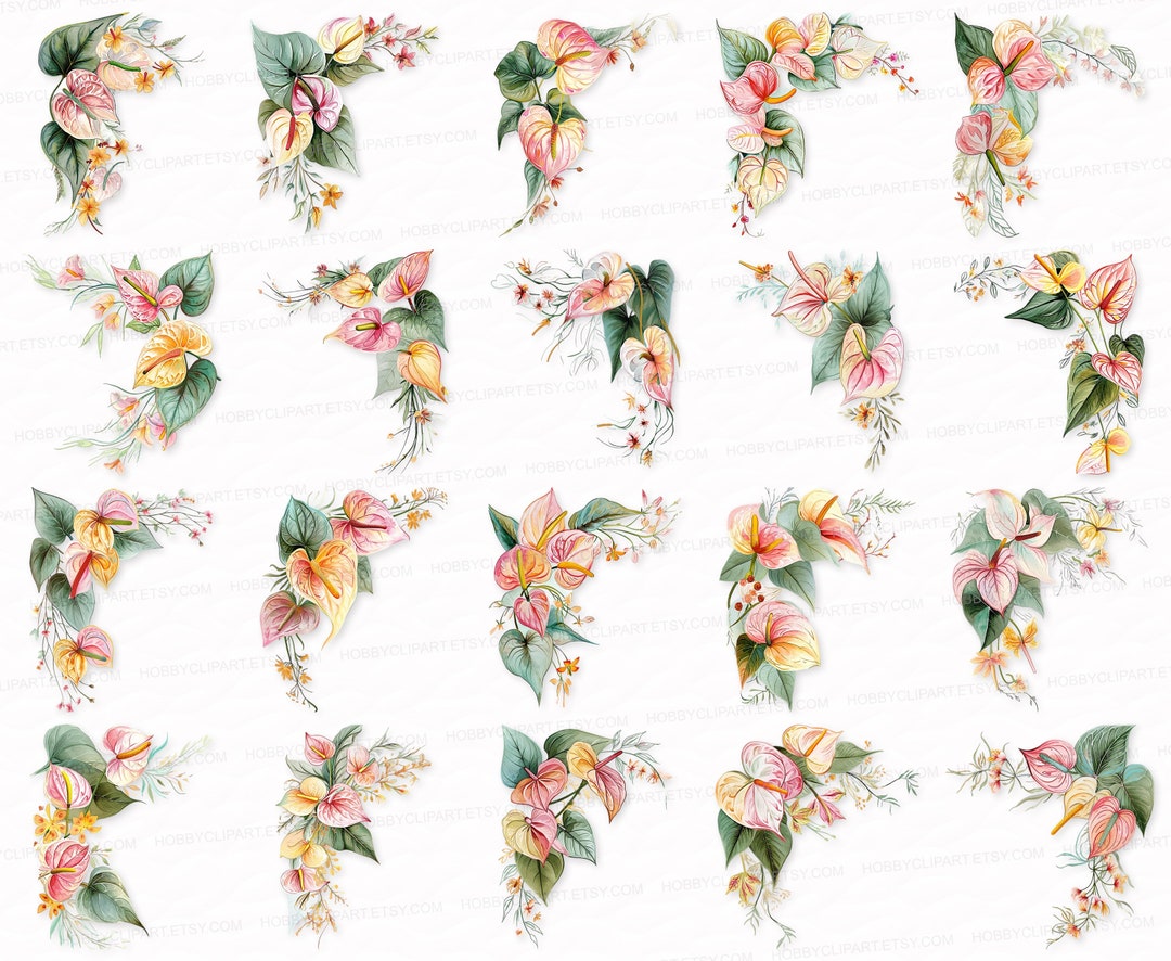 ANTHURIUM Corner Flower Border PNG SVG Watercolor Clipart Flower ...
