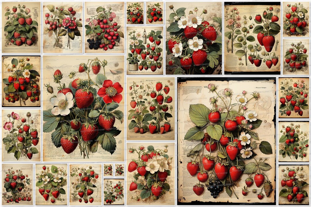 25 Vintage Strawberries Digital Paper Junk Journal Kit Scrapbook Papers ...