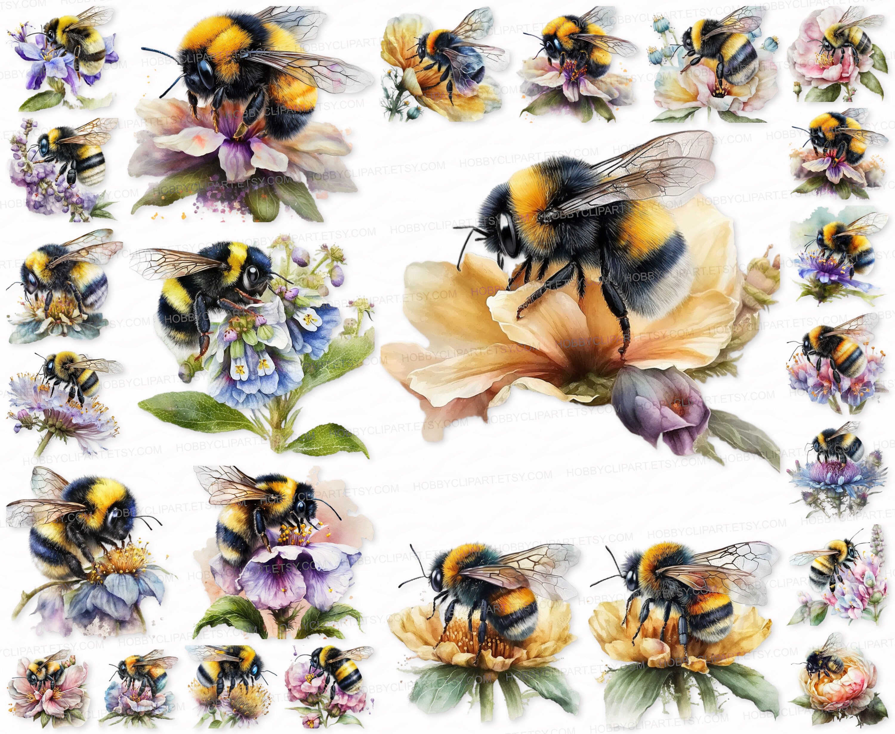 Watercolor Bumble Bee Clipart Set: Floral Bee PNG SVG (digital Download ...