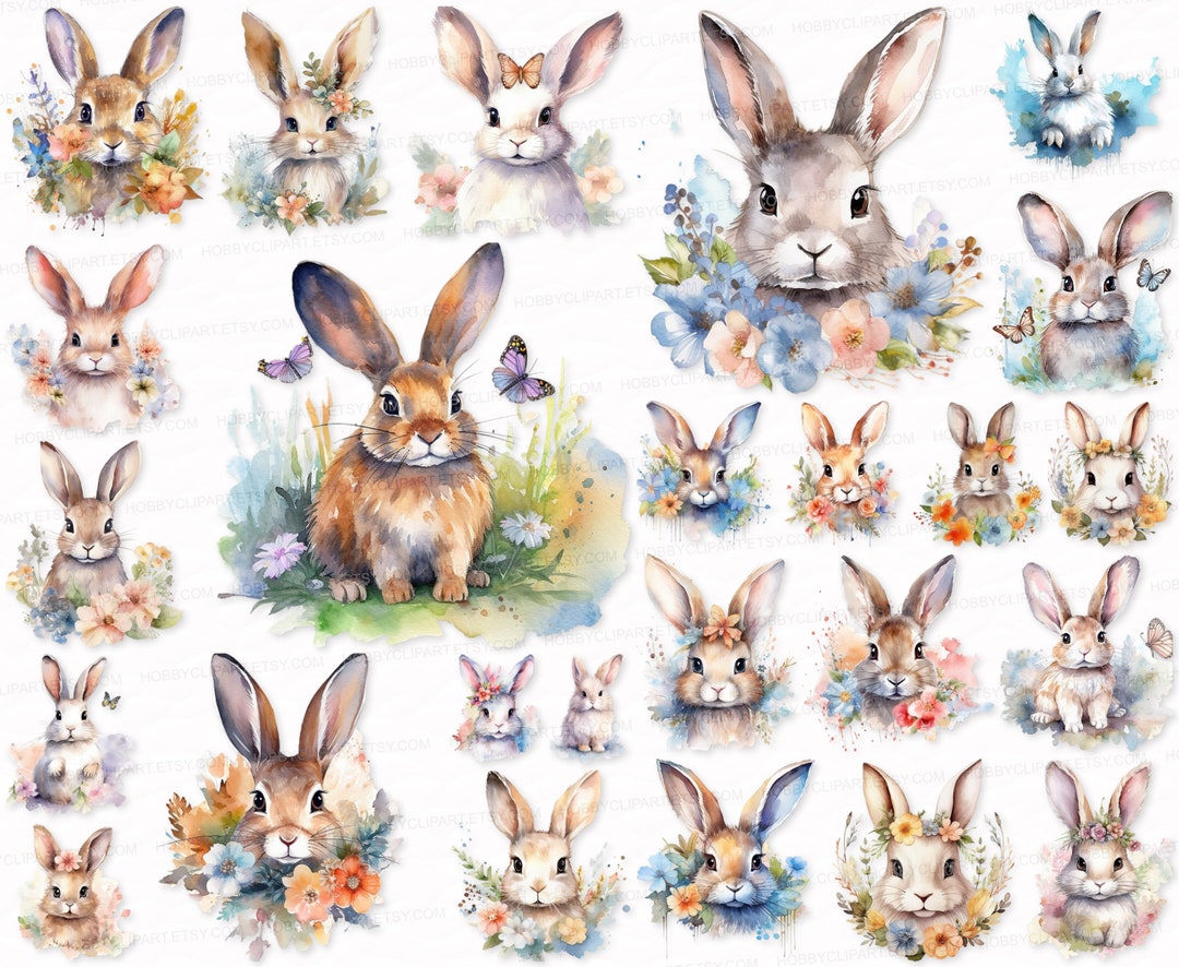 Hare PNG SVG Watercolor Clipart Set Flower Hare Sublimation Digital ...