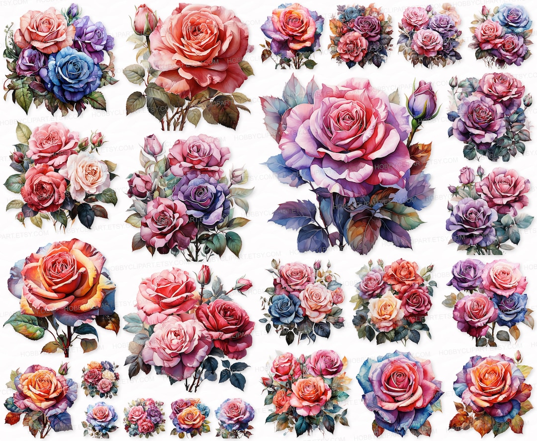 Colorful Rose PNG SVG Clipart Set Transparent Background Digital ...