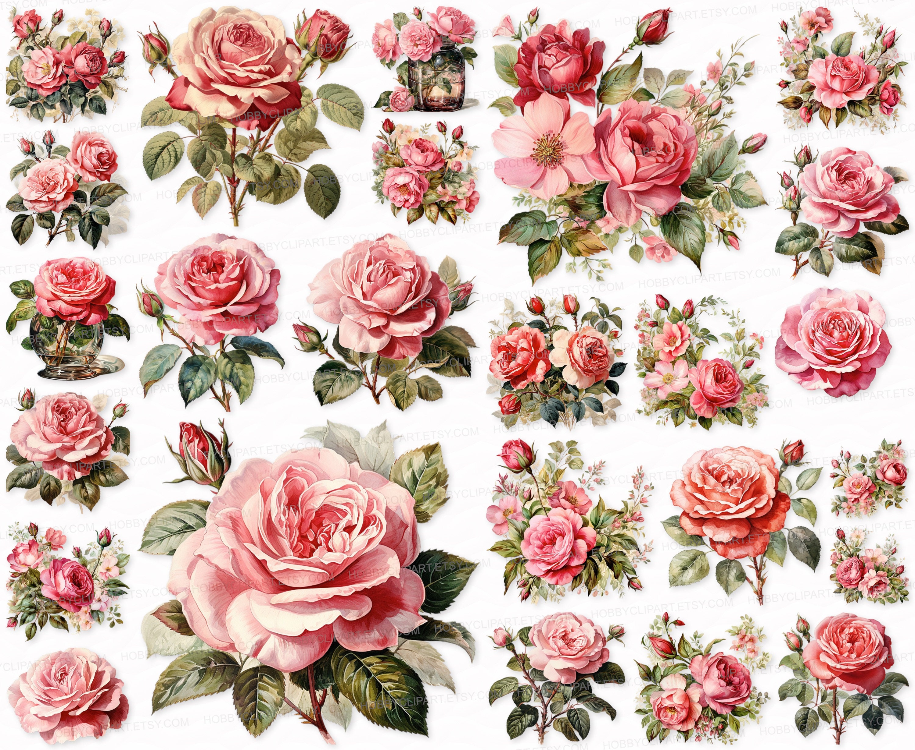 Rose PNG SVG Clipart Set Transparent Background Digital Download ...