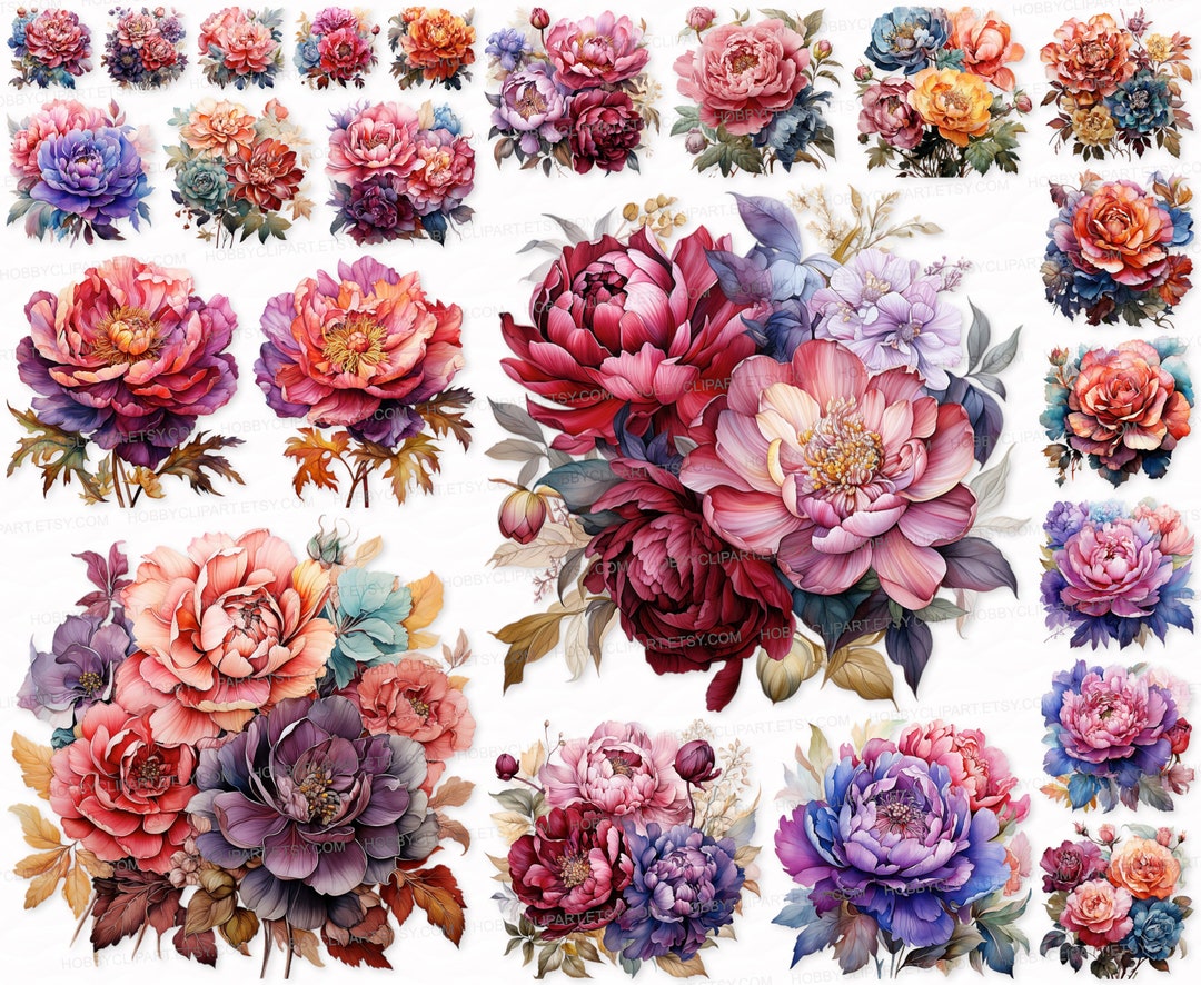 Watercolor Peony Clipart Set: Floral PNG, SVG (digital Download) - Etsy UK