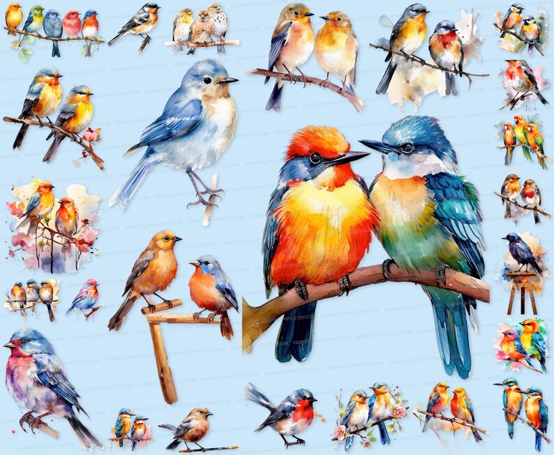 Watercolor Bird Clipart Set: Avian PNG SVG Graphics (digital Download ...