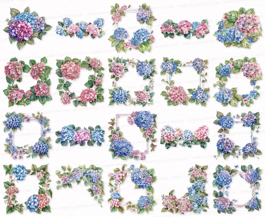 Hydrangea Clipart: Watercolor Flower Frames, Borders (PNG, SVG, EPS) - Etsy