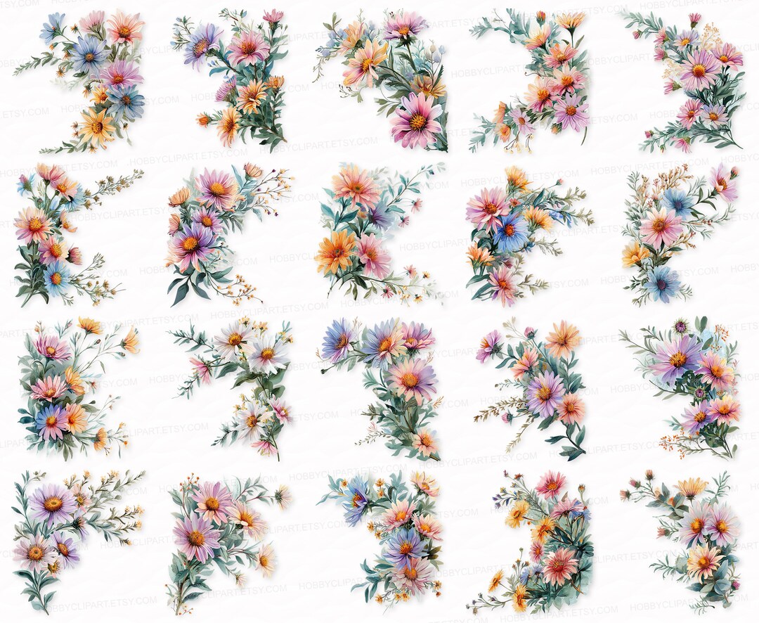 ASTER Corner Flower Border PNG SVG Watercolor Clipart set Flower ...