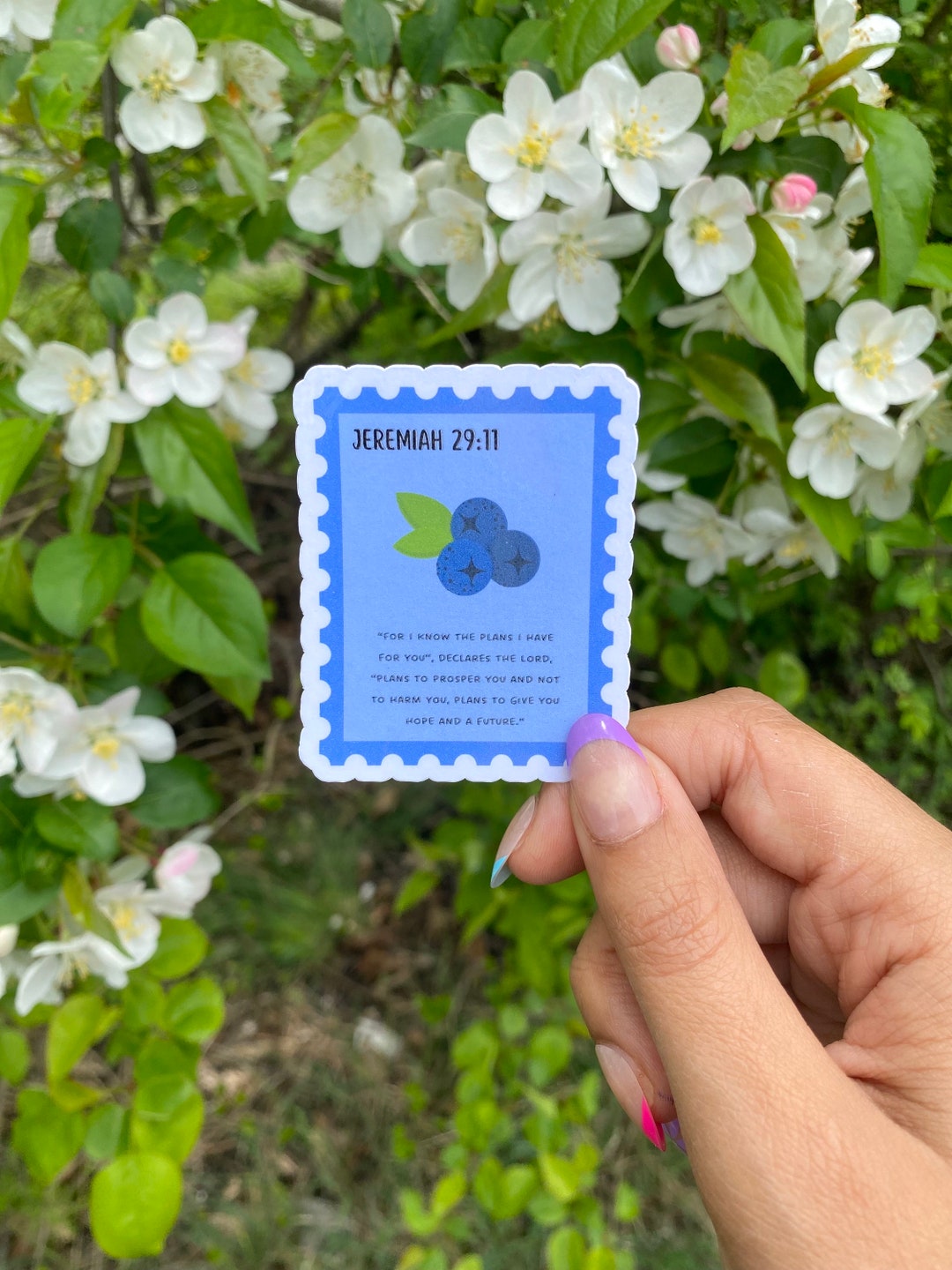 Jeremiah 29:11 Blueberry Stamp Sticker | Christian Stickers | Bible ...