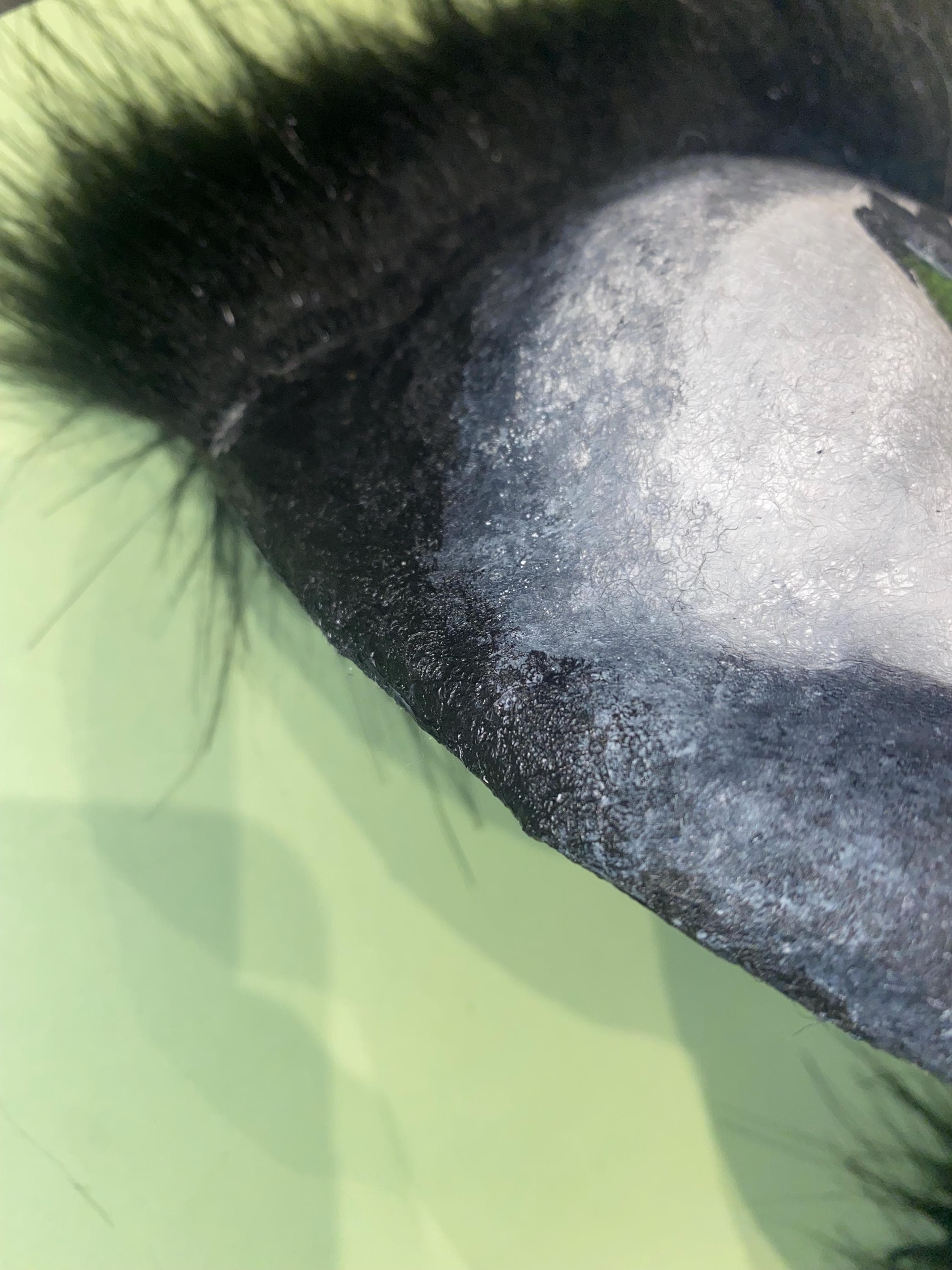 Plastic Furry Therian Costume Cat Mask Black and White - Etsy