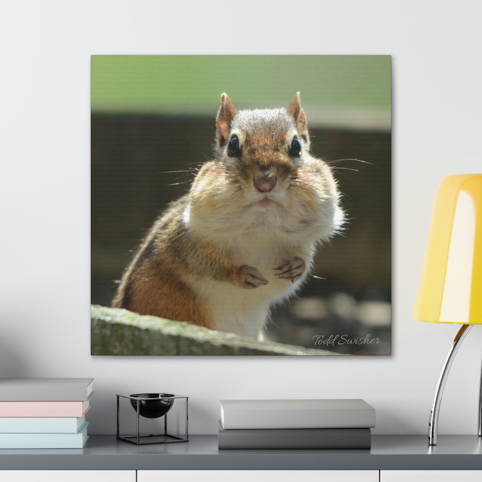 Chubby Chipmunk Canvas Gallery Wrap, Chipmunk Photography, Big Cheeks Chipmunk, Chipmunk Art ...