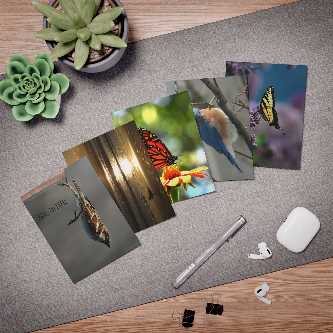 Nature Birthday Cards, 5-pack Multi-design Birthday Cards, Todd Swisher ...