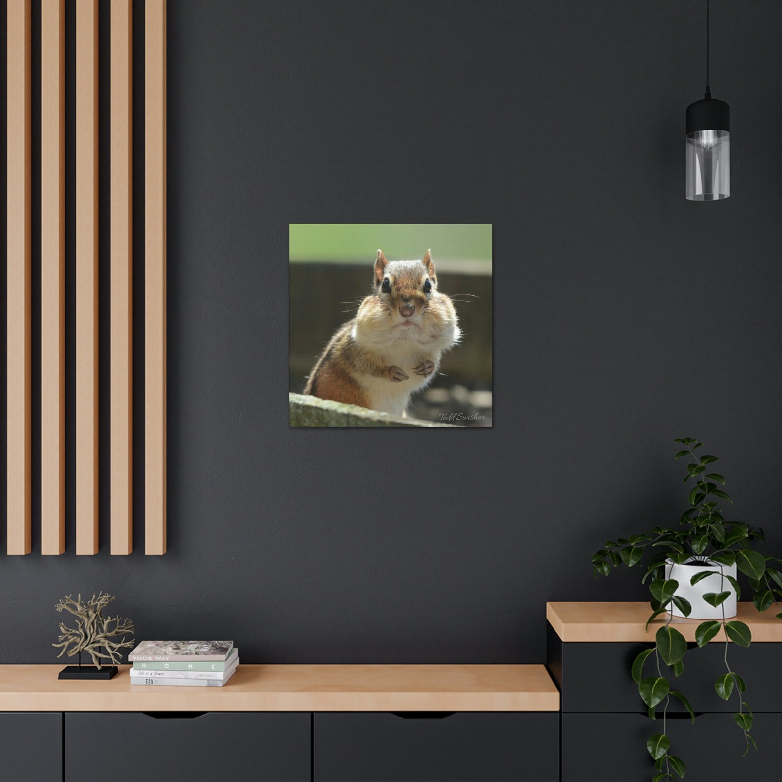 Chubby Chipmunk Canvas Gallery Wrap, Chipmunk Photography, Big Cheeks Chipmunk, Chipmunk Art ...