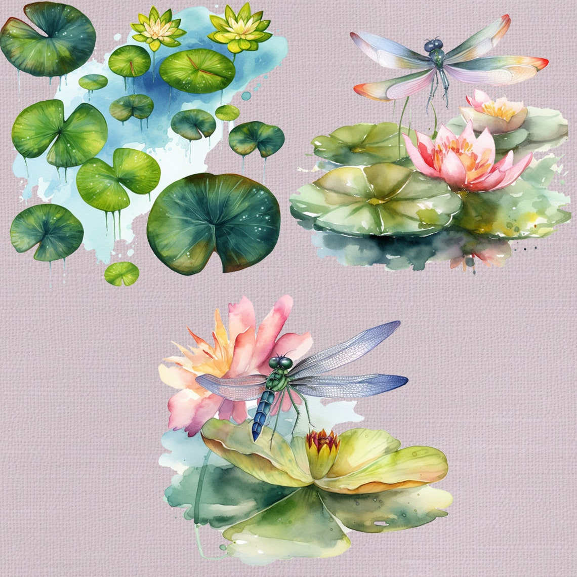 Watercolor Lily Pond PNG Clipart - Frog and Dragonfly in the Frogpond ...