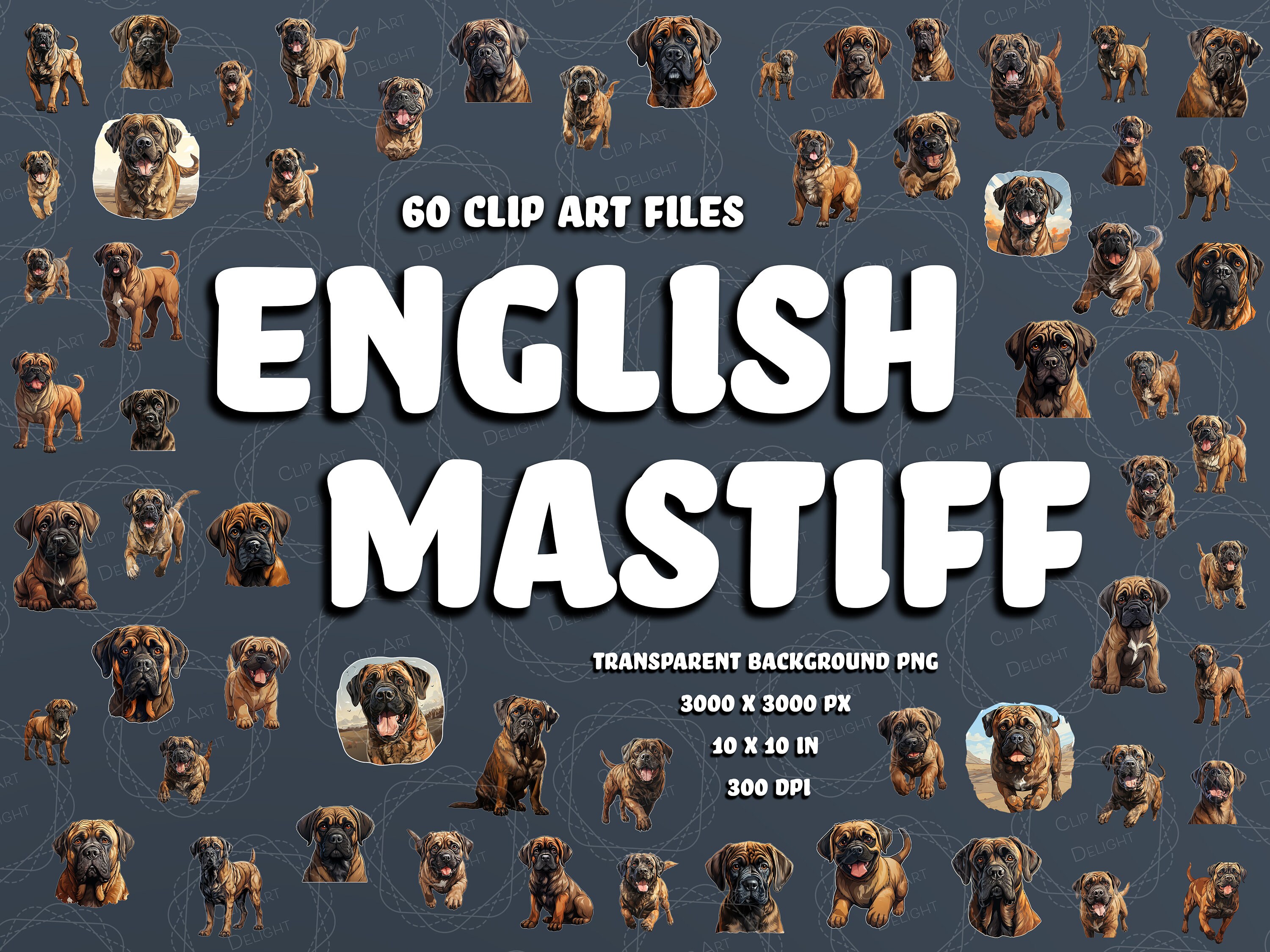 English Mastiff Sticker Clipart Bundle: 60 Dog PNG Files (digital ...