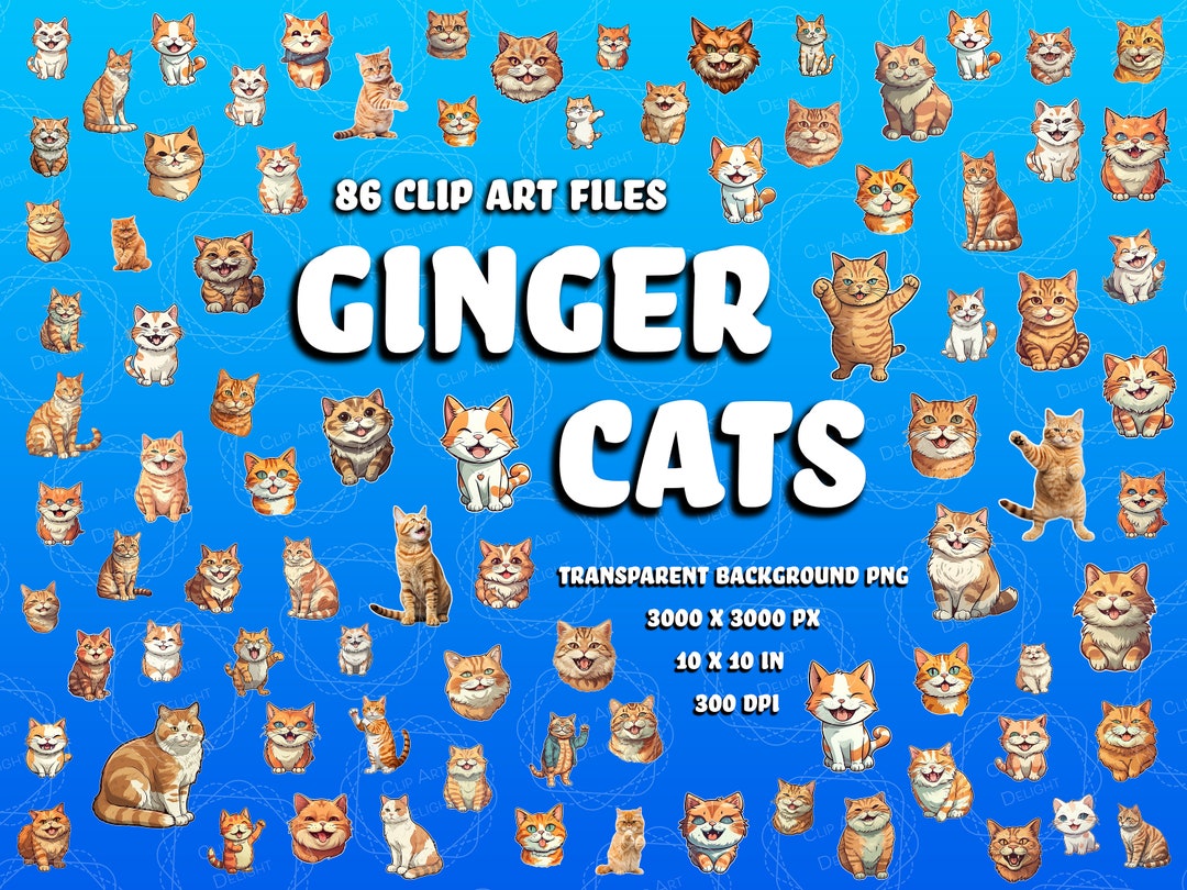 Cute Ginger Cat Clip Art Bundle | 86 High-quality PNG Files ...