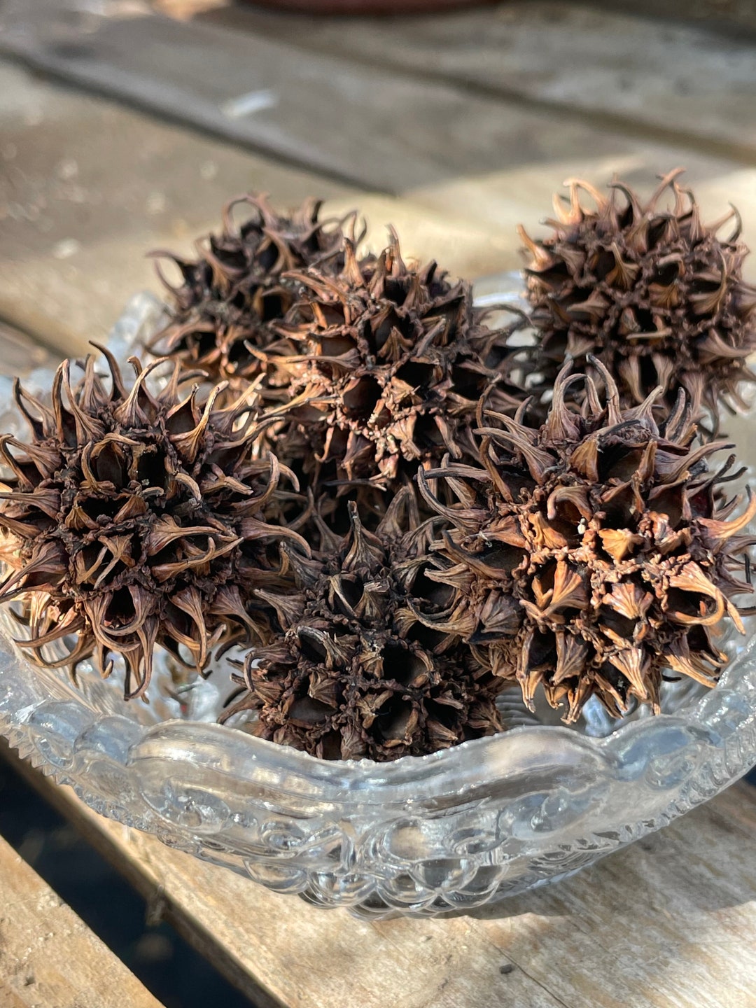 Sweet Gum Tree Balls - Etsy