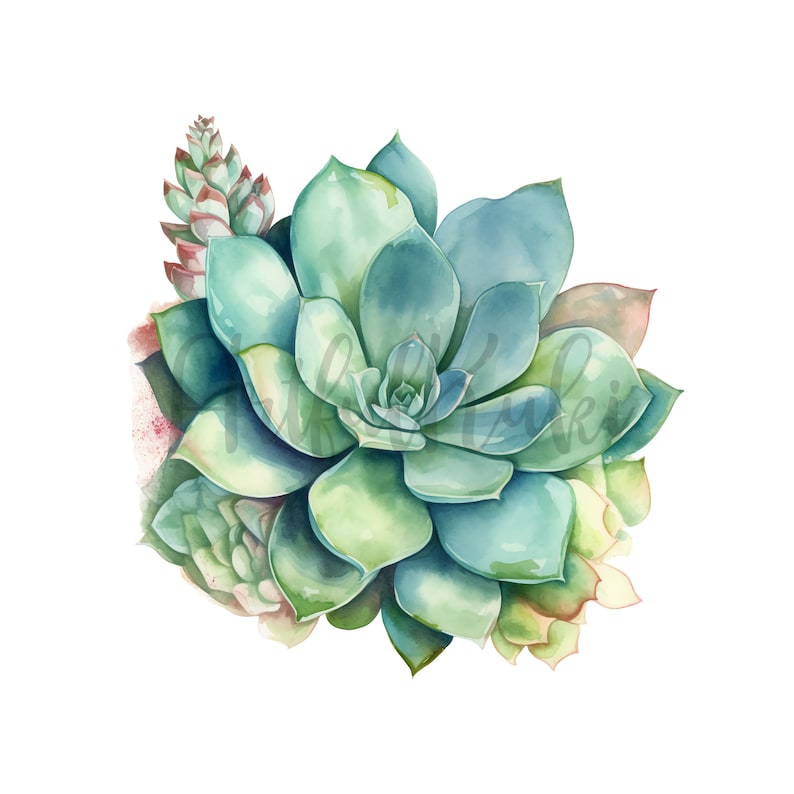 Watercolor Succulent Clipart Set: PNG Graphics (digital Download) - Etsy