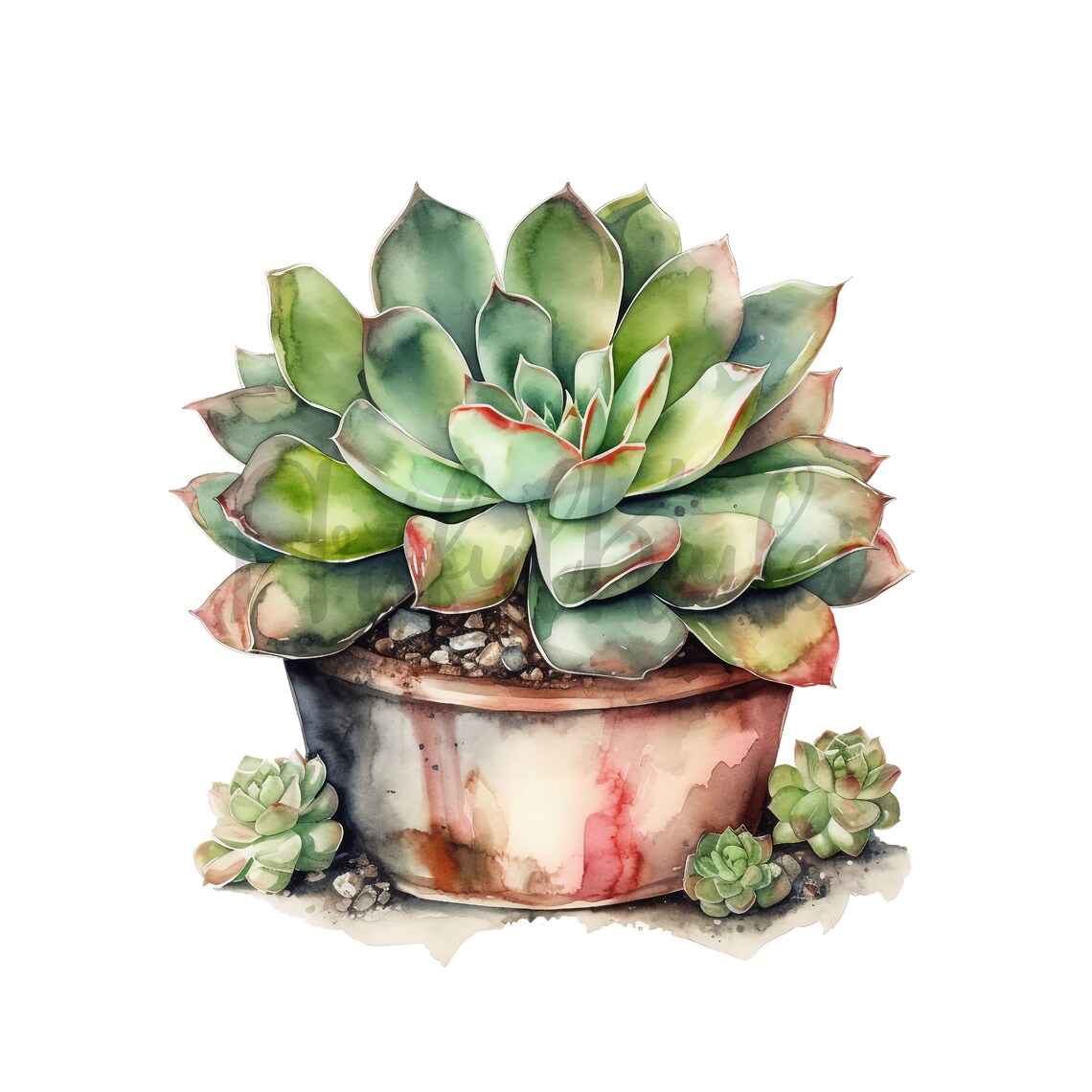 Watercolor Succulent Clipart Set Beautiful Graphics for - Etsy