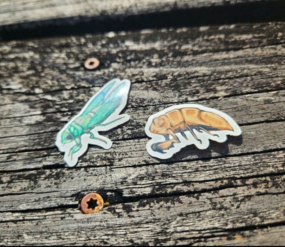 Cicada Sticker Pack - Etsy