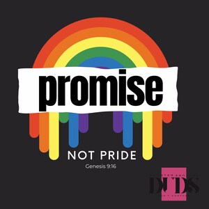 Promise Not Pride Christian T-shirt, Conservative Tee, for Christians ...