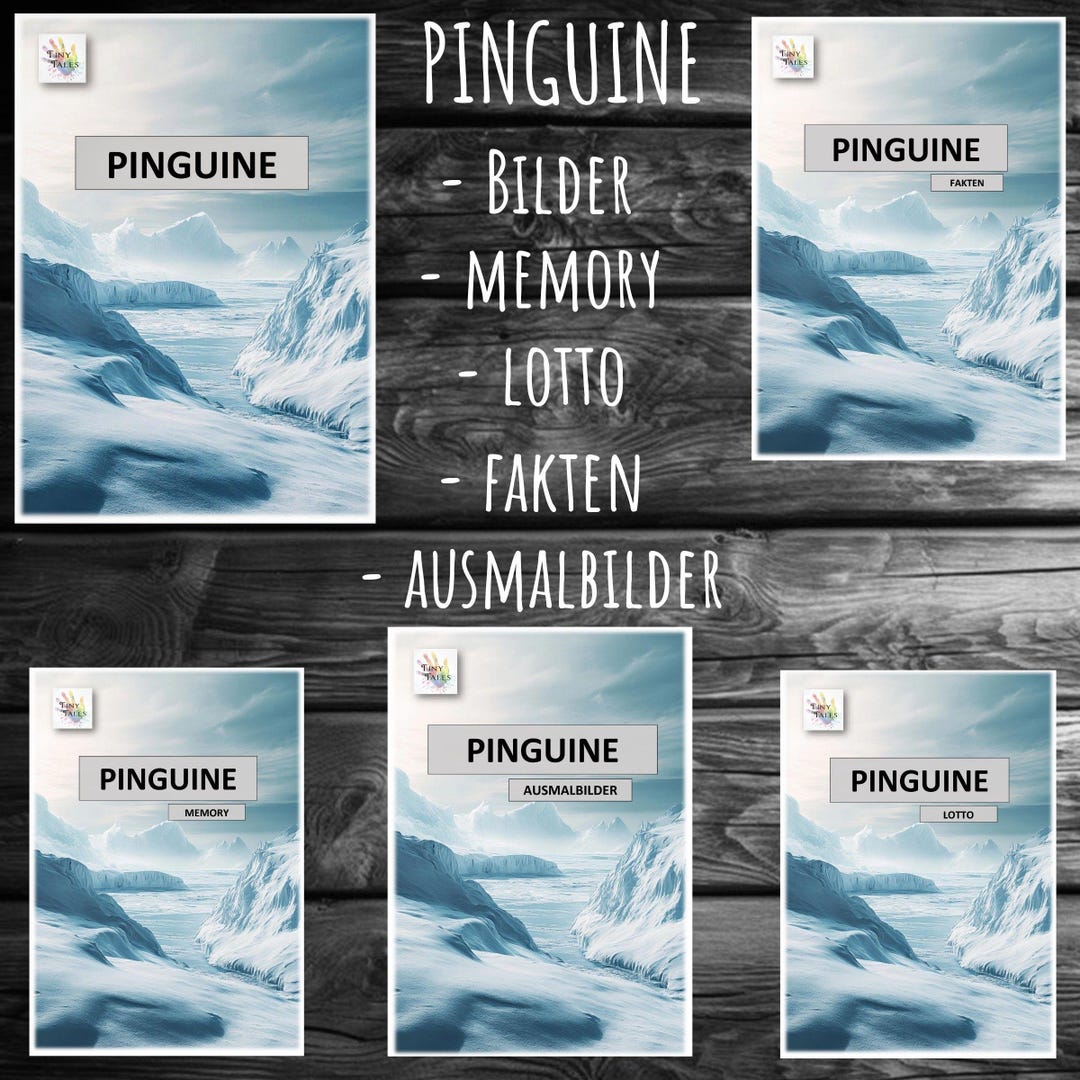 Penguins Antarctica Pictures Card Game Kindergarten Project Offer ...