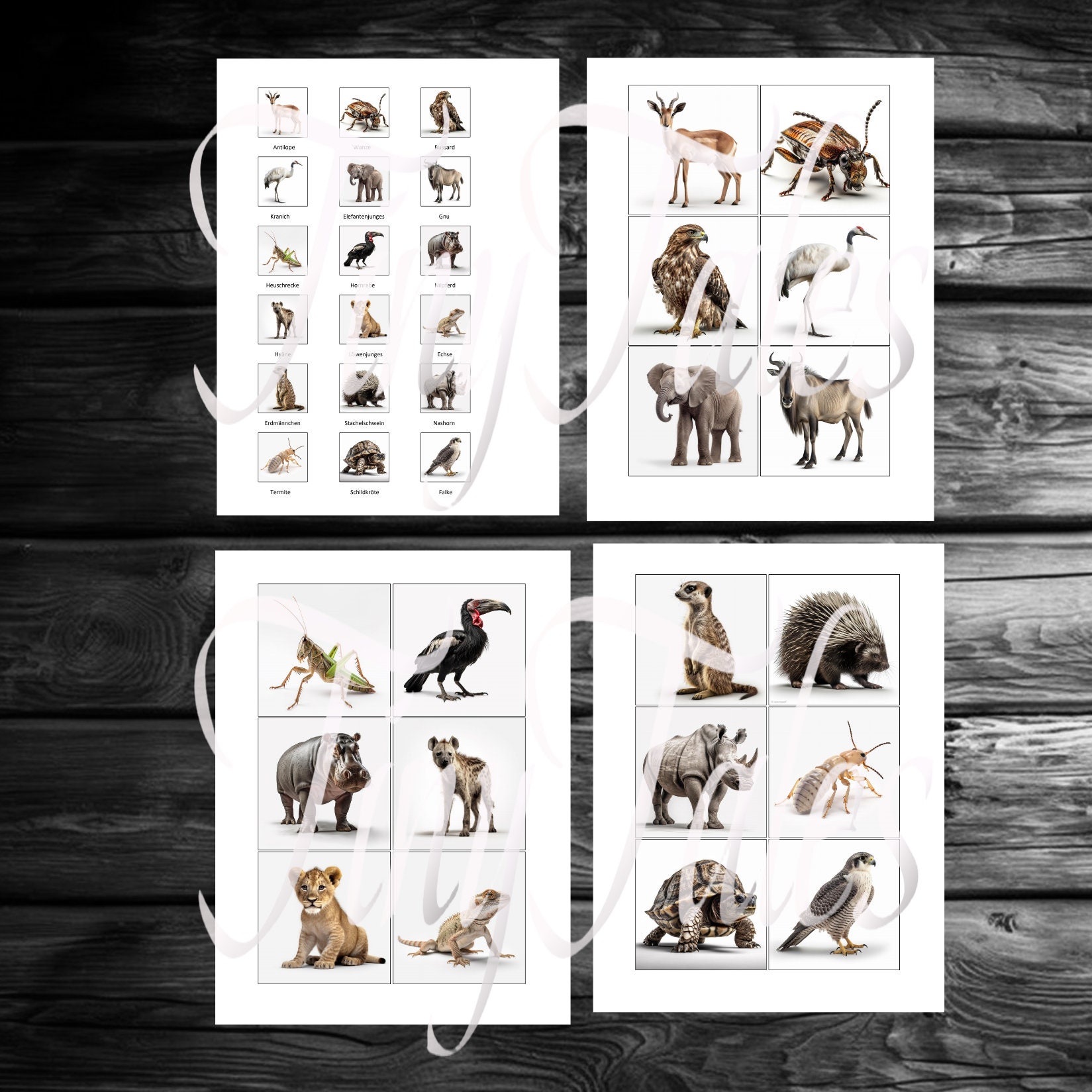 Savanna Animals Part 2 Animal Pictures Animals Savanna Kindergarten ...