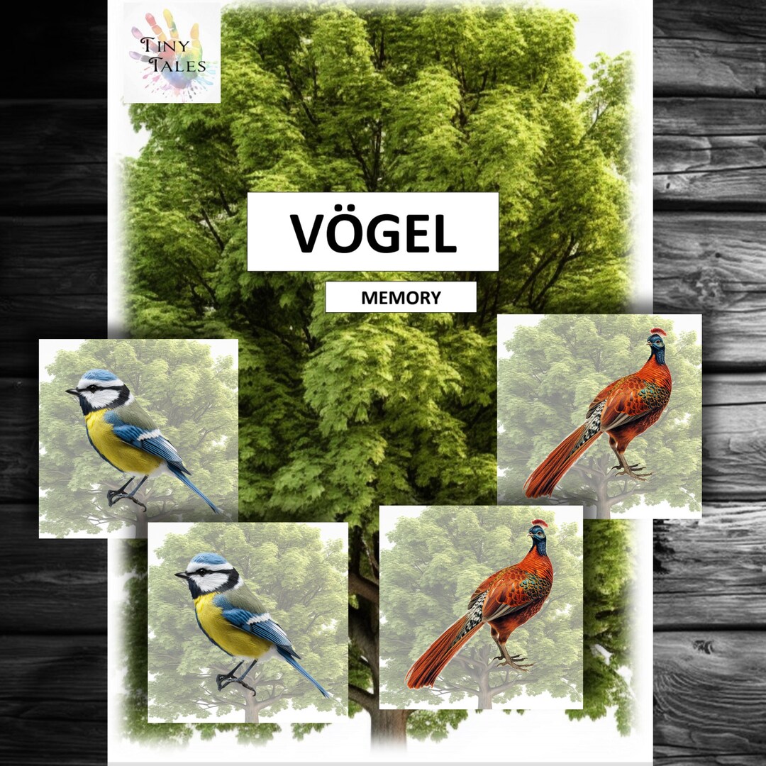Memory Birds Animal Pictures Cards Children Kindergarten Leisure ...
