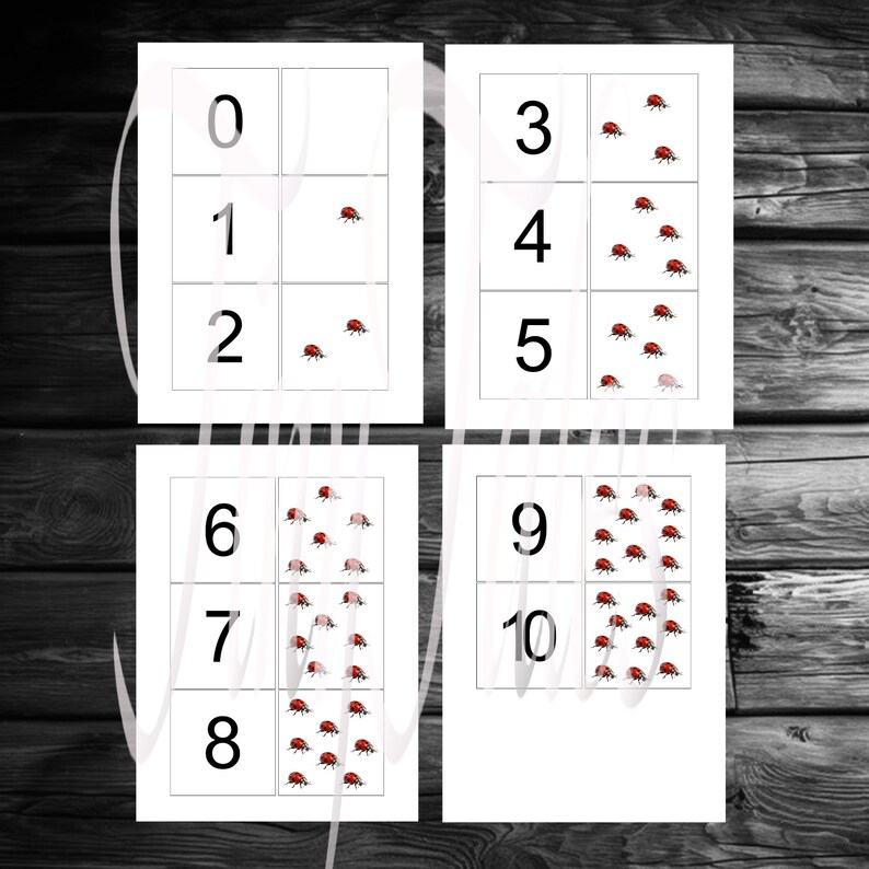 Numbers Counting Counting Children Kindergarten School Playing Learning ...