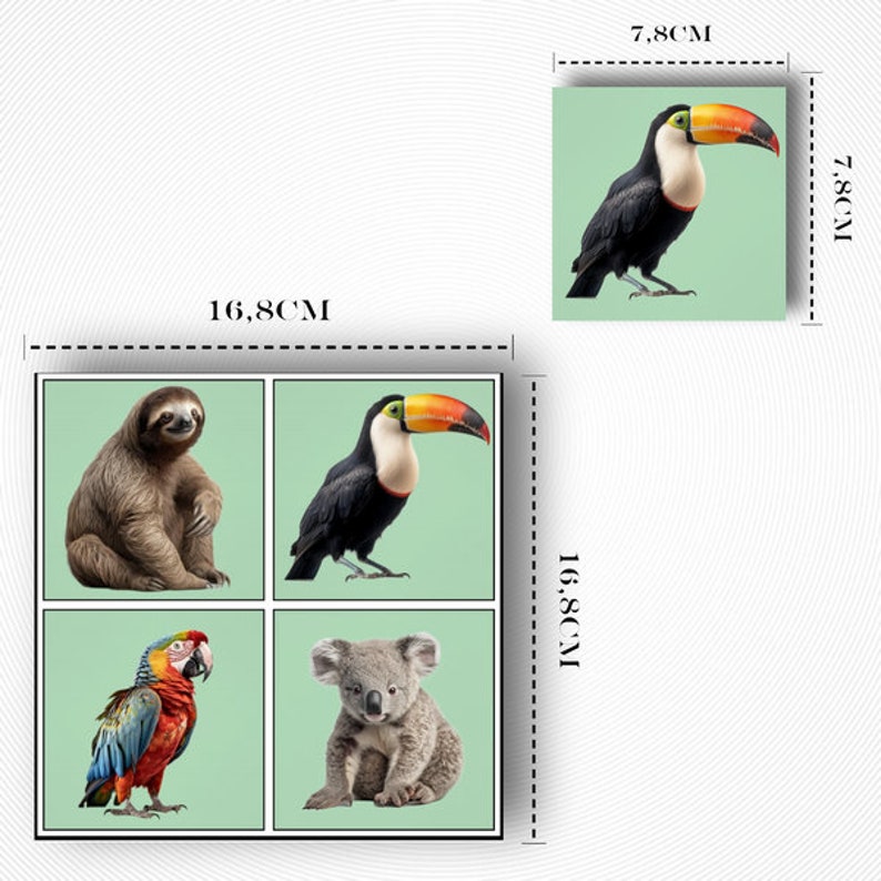 Animal Lotto Rainforest Animals Animal Cards Kindergarten Children ...