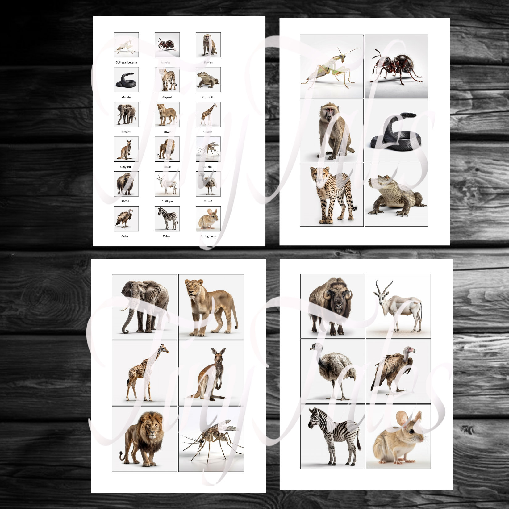 Savannah Animals Part 1 Animal Pictures Animals Savannah Montessori ...