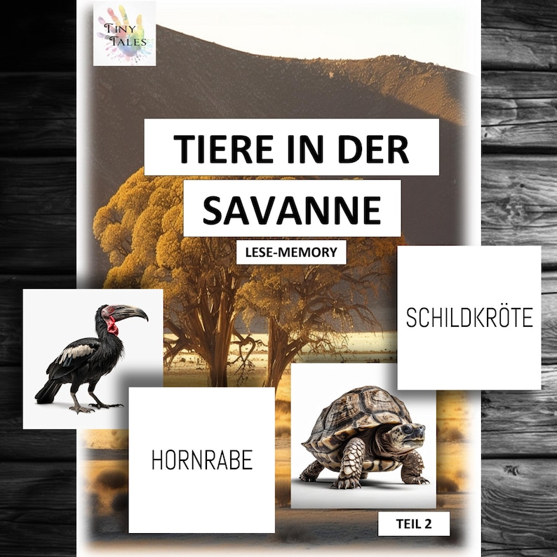 Memory Reading School Savanna Desert Steppe Safari Africa Namibia ...
