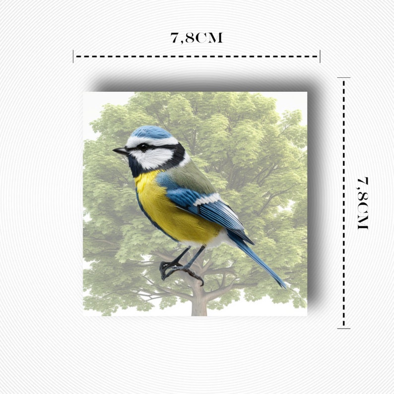 Birds Animals Wings Flying Air Sky Freedom Picture Cards Play Learn ...