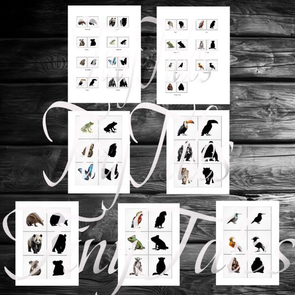 Silhouettes Animal Pictures Rainforest Animals Montessori Kindergarten ...