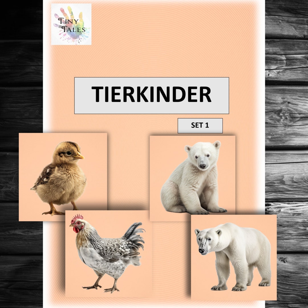 Animal Children Set 1 Matching Baby Playing Children Learning ...