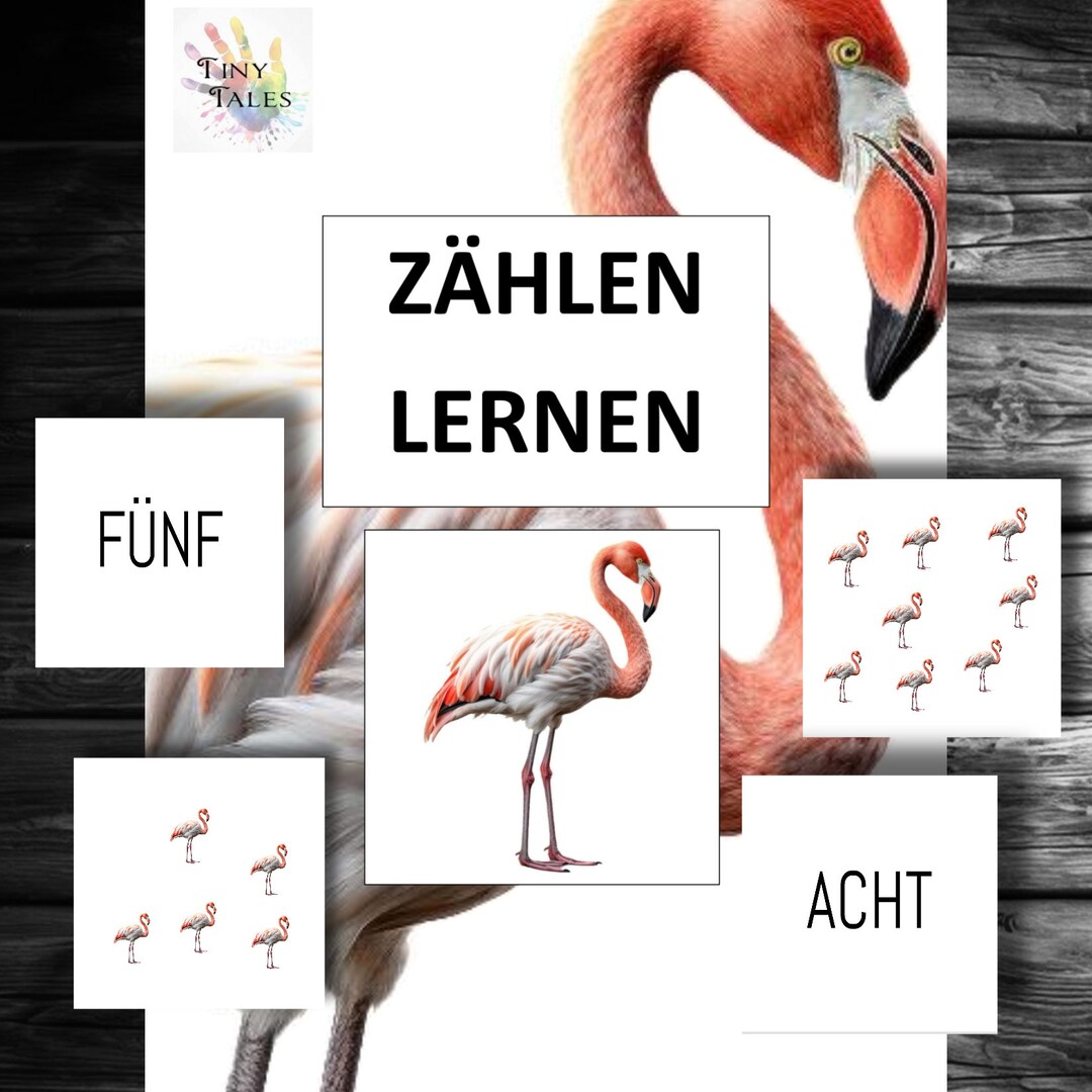 Learn to Count Numbers, Read, Calculate, Mathematics, Exercises, Learn ...