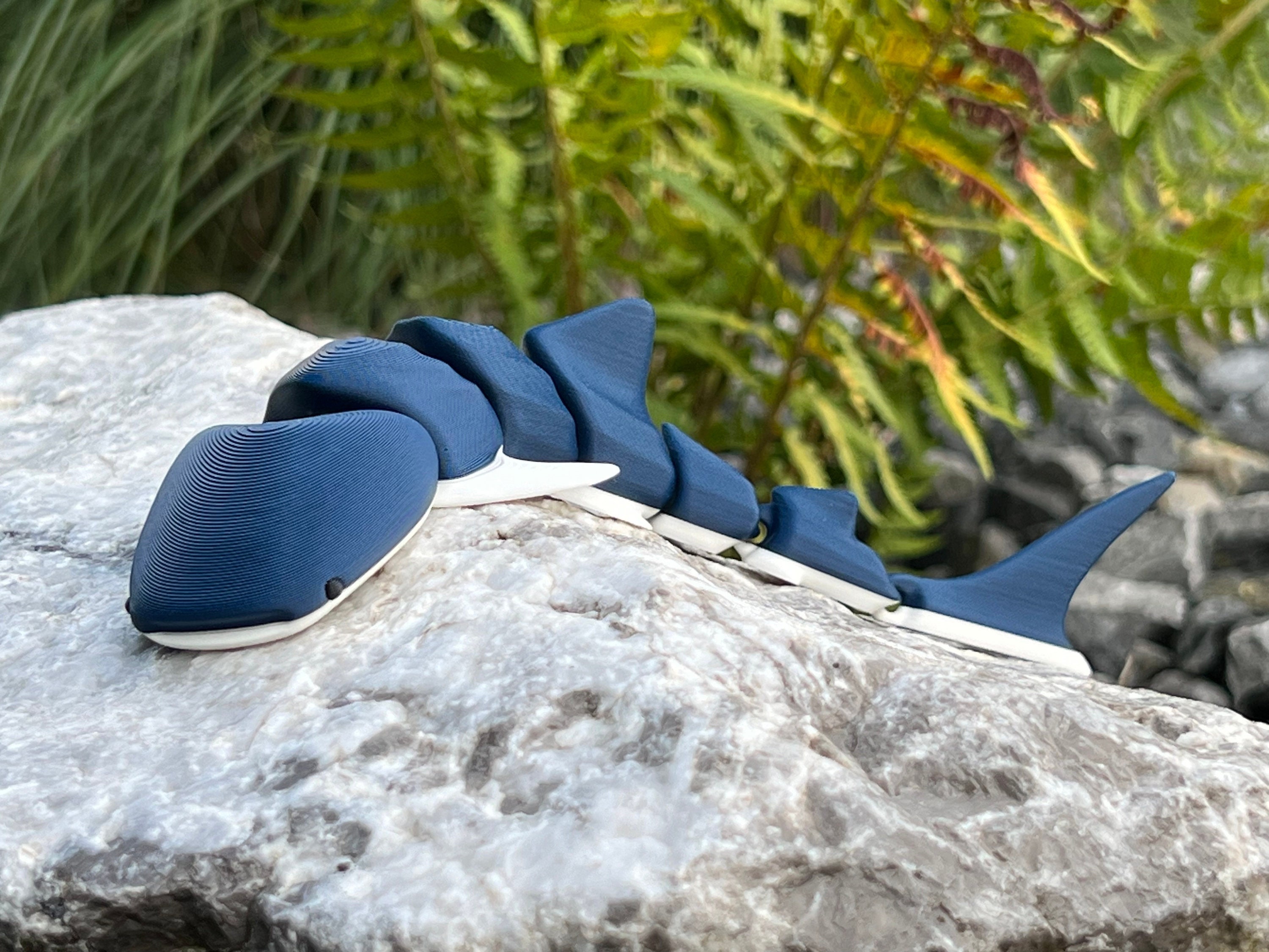 Cute Whale Shark Gift Idea for Ocean Lovers, Family, Friends Fidget Toy ...