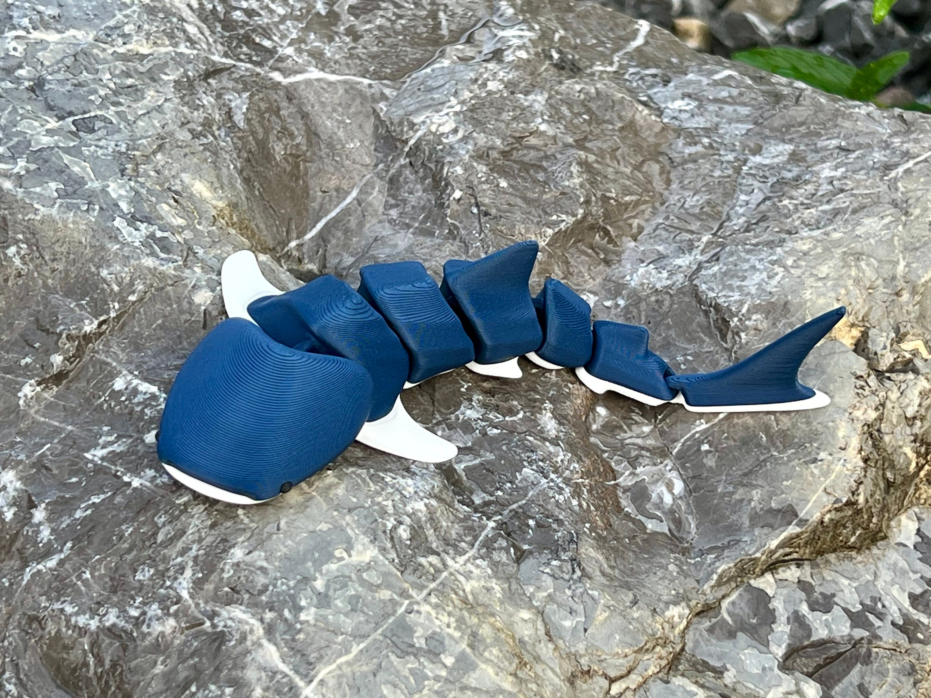 Cute Whale Shark Gift Idea for Ocean Lovers, Family, Friends Fidget Toy ...