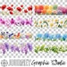 Seamless Floral Border Clipart Bundle, Watercolor Flower Border Clipart ...