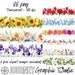 Seamless Floral Border Clipart Bundle, Watercolor Flower Border Clipart ...